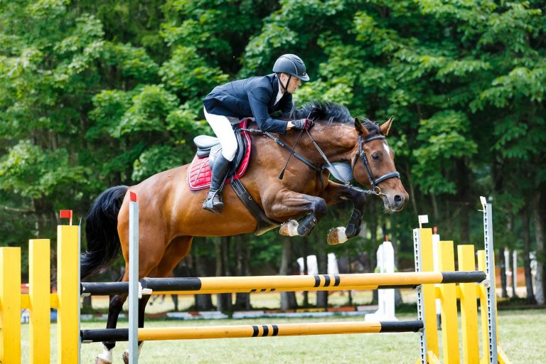 Vändra Karika põhisõidu parim oli Priit Perna, Birgit Adler võidukas ...