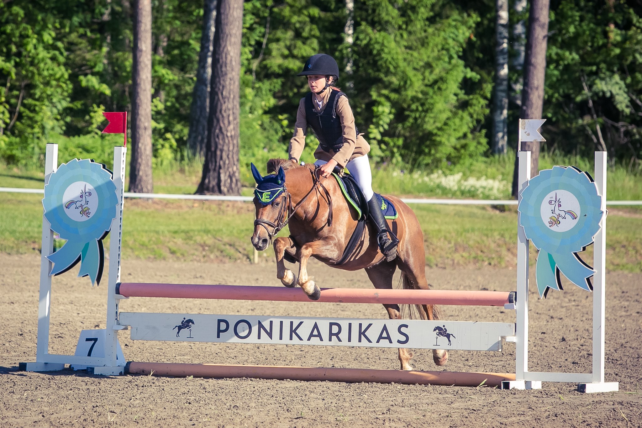 Ponikarikas kogub Hooandjas toetust võistlusinventari soetamiseks