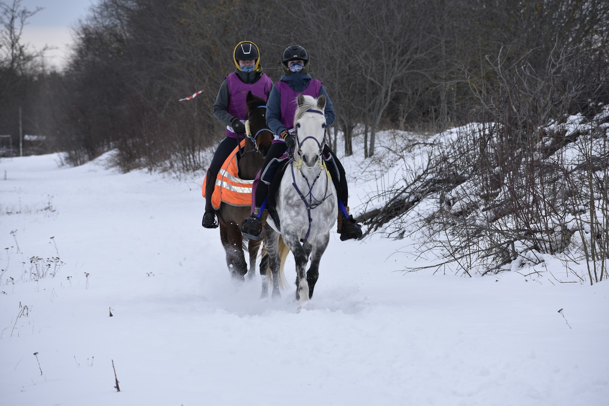 Kestvusratsutajad avasid Hüürus hooaja - Hobumaailm