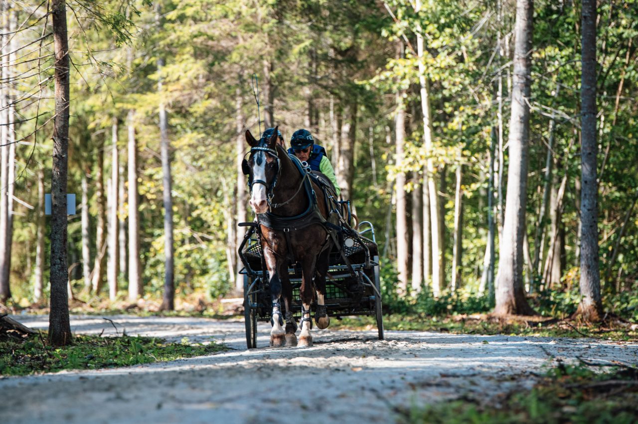 Tagadil läksid võidud Soome, Raudsepp teine - Hobumaailm