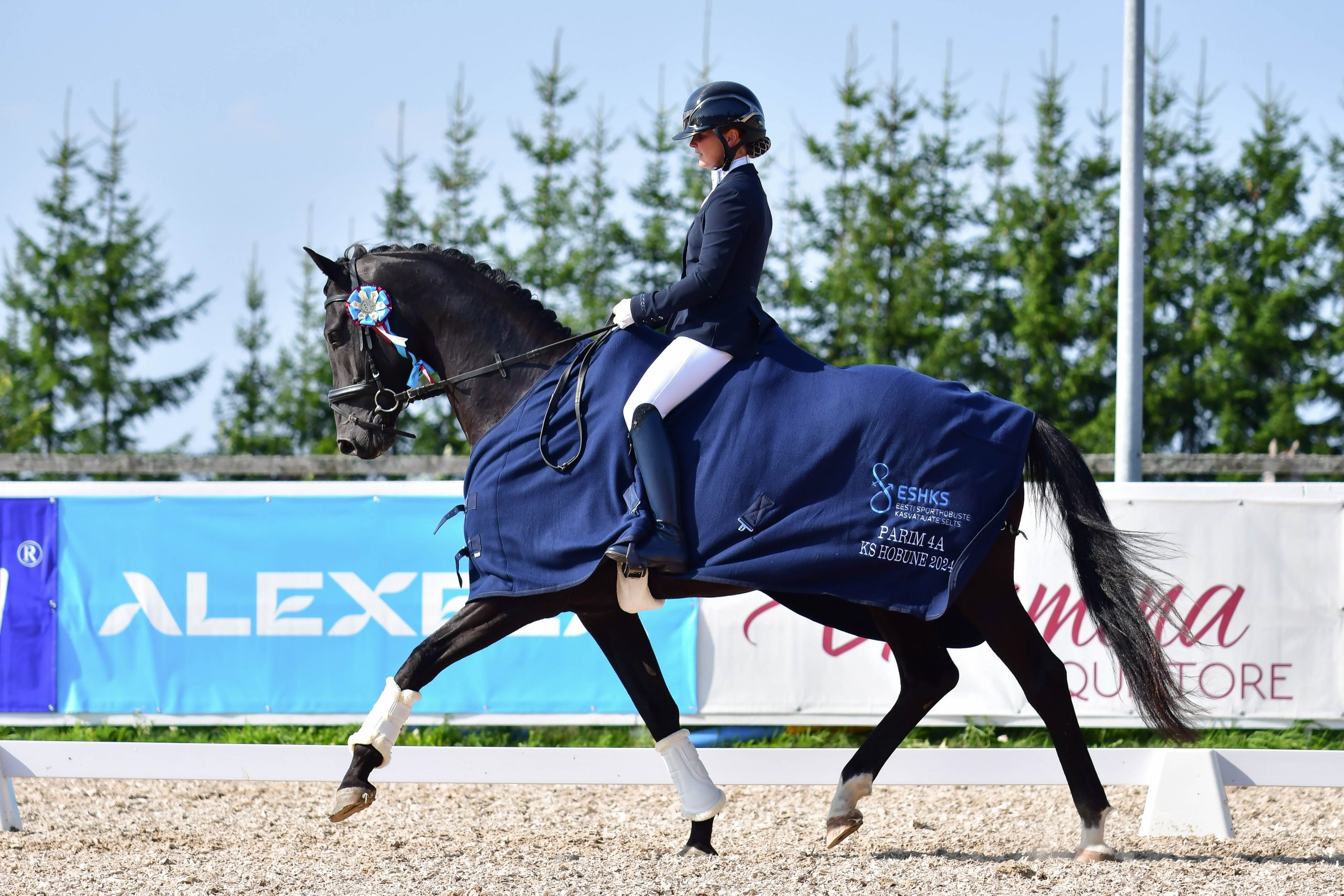 Toomingal selgitati välja parimad noored koolisõiduhobused ja –ponid ...